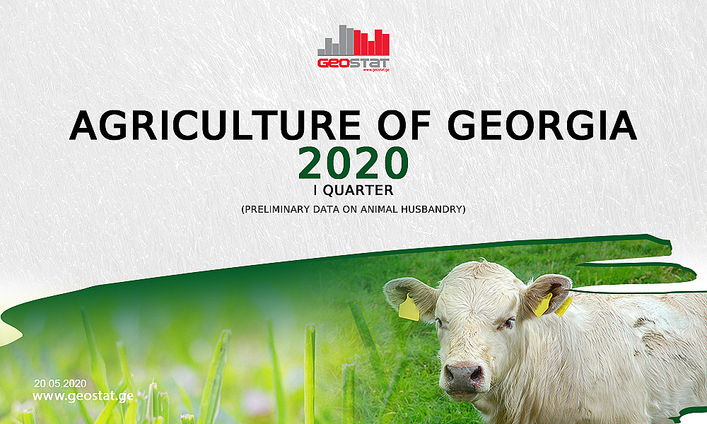 AGRICULTURE OF GEORGIA I QUARTER, 2020 (PRELIMINARY DATA ON ANIMAL ...