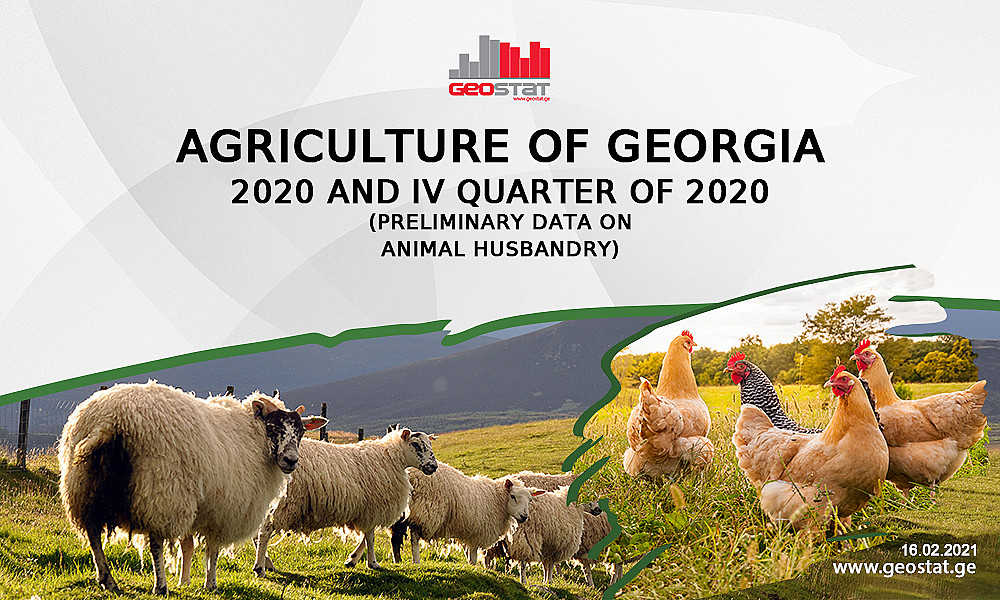 AGRICULTURE OF GEORGIA 2020 AND IV QUARTER OF 2020 (PRELIMINARY DATA ON ...