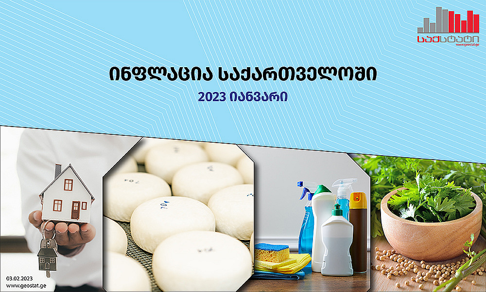 ინფლაცია საქართველოში 2023 წლის იანვარი